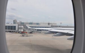Fear of flying (Aerophobia): Causes, Symptoms, and Treatment