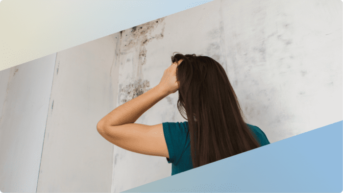 Fear of mold: Is it OCD, Mysophobia, or something else?